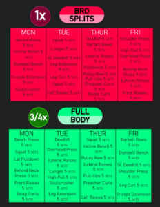 What Is the Best Training Split for Muscle Hypertrophy? - House of ...