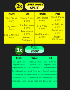 What Is the Best Training Split for Muscle Hypertrophy? - House of ...