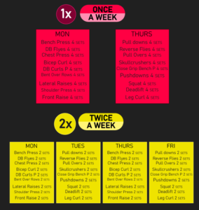 What Is the Best Training Split for Muscle Hypertrophy? - House of ...