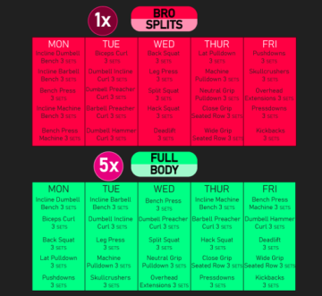 What Is the Best Training Split for Muscle Hypertrophy? - House of ...